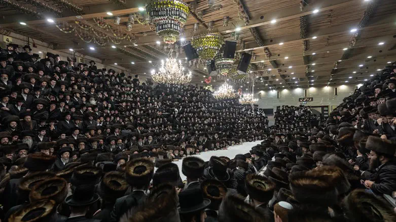 Belzer and Gerrer hasidim to celebrate in Jerusalem | Israel National News