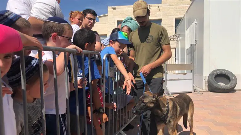 Israel Dog Unit exhibition strengthens Samaria | Israel National News