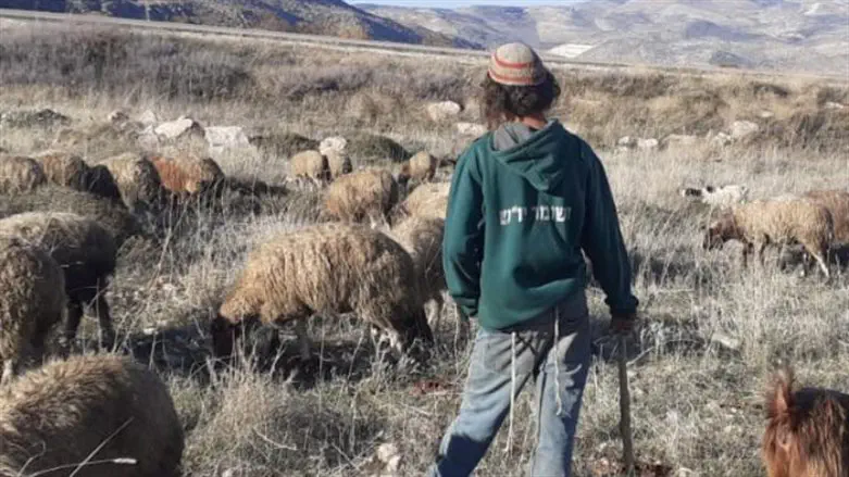 Hashomer meets with deputy Agriculture Minister | Israel National News