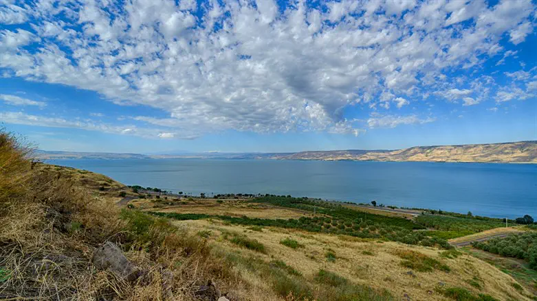 Health Ministry warns of eye-attacking parasite in the Kinneret ...