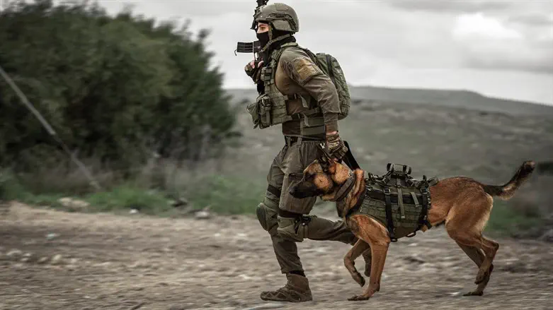 Report: IDF refused to supply canine, soldiers were killed as a result ...
