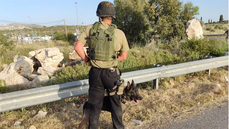 The hunt for a gun-toting terorrist in Samaria's mountains | Israel ...