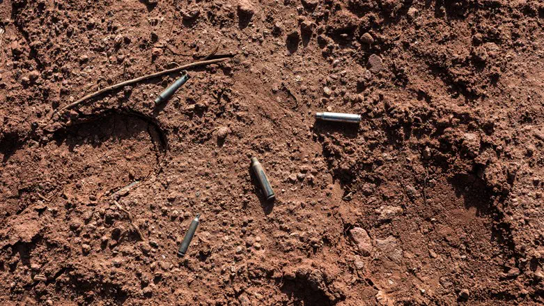 Dozens of bullet casings found following attempted shooting attacks ...