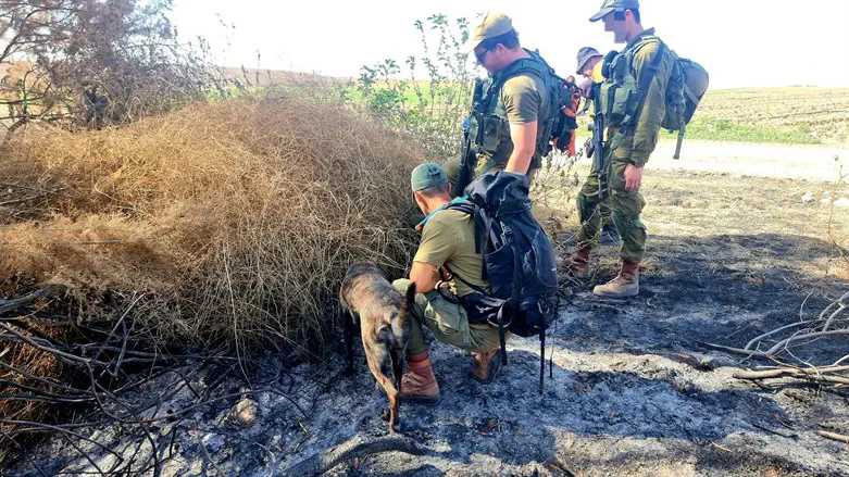 Head of Israel Dog Unit: Yesterday we still found body parts | Israel ...