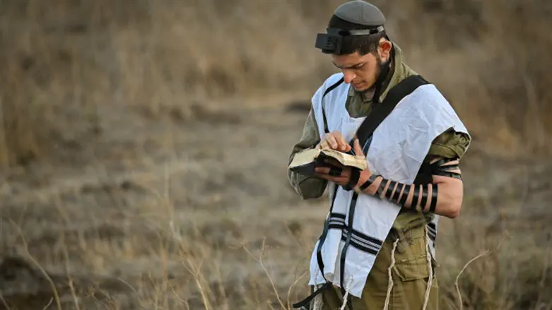 Chaye Sarah: Towards the downfall of the savage | Israel National News