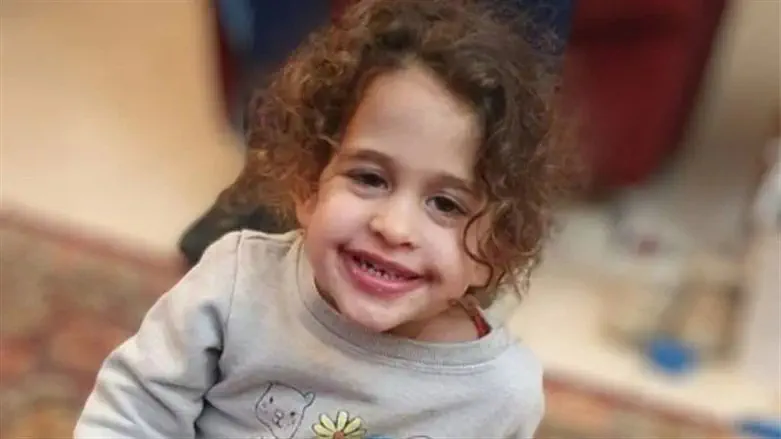 Aunt of released hostage: 'It's important for me to say that Avigail ...