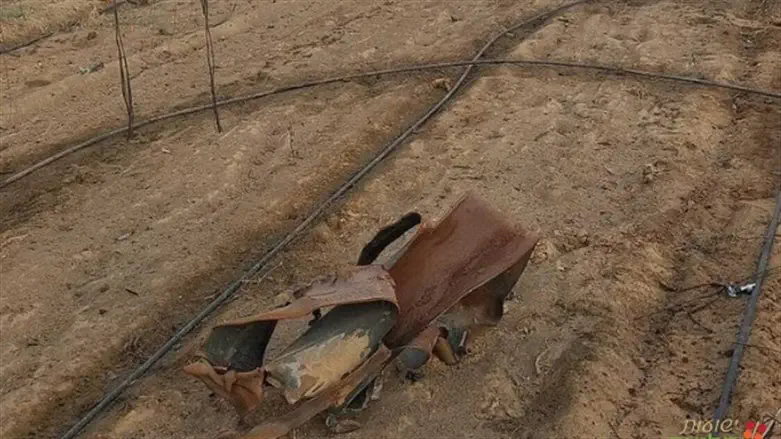 Farm in southern Israel hit by missile loses hundreds tons of produce ...