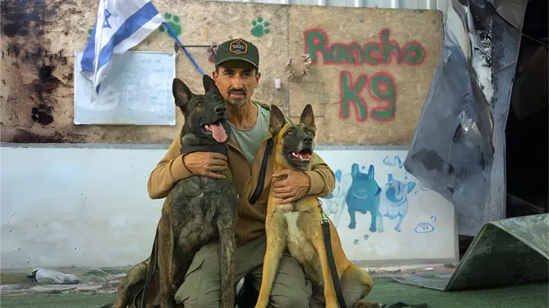 Shelter that rescued Gaza region dogs burns down | Israel National News