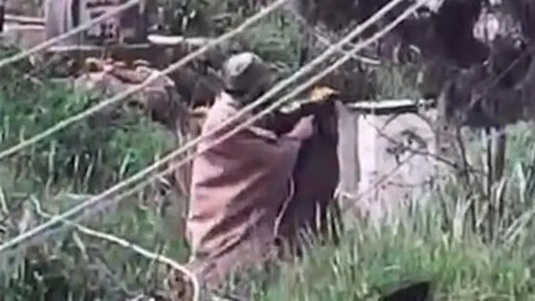 Hebron: Imam opens fire at Jewish community, is neutralized | Israel ...