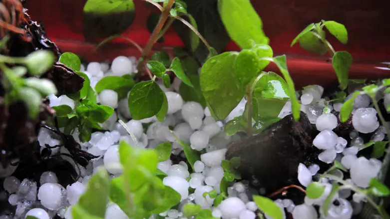 Thunderstorms and hail? Sunny weather takes a pre-Purim break | Israel ...
