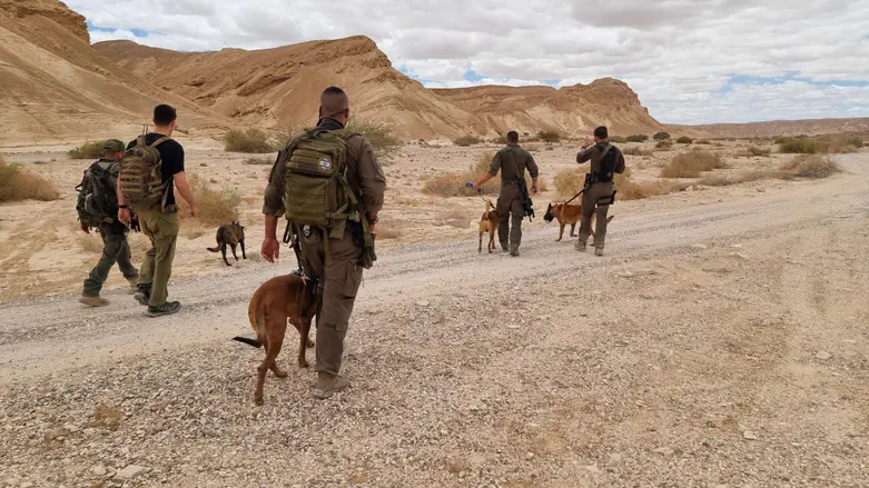 Israel Dog exercise with the IAF in the Negev | Israel National News