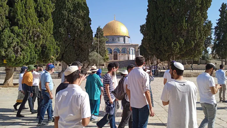 Watch: Dancing on the Temple Mount for Jerusalem Day | Israel National News