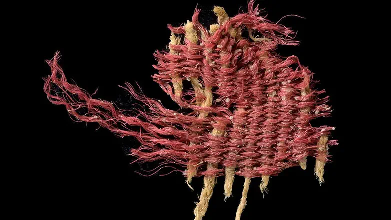 3,800-year-old red textile dyed with Biblical scarlet discovered in ...