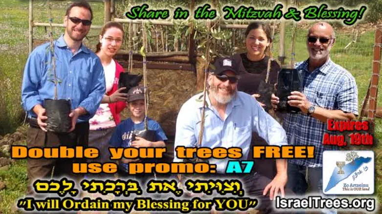 Safeguarding the Holy Land of Israel with new fruit trees | Israel ...