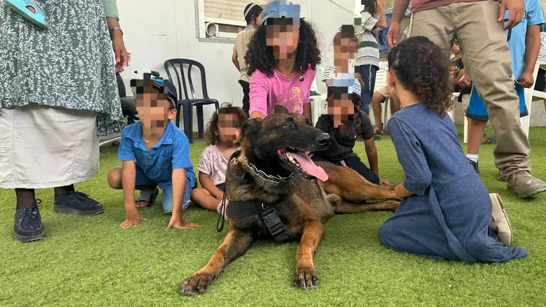 Israel Dog Unit brings working dog exhibition to Samaria | Israel ...