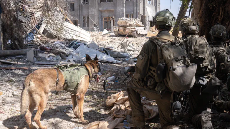 Podcast: Advance notice of attack saves enemies and causes IDF ...