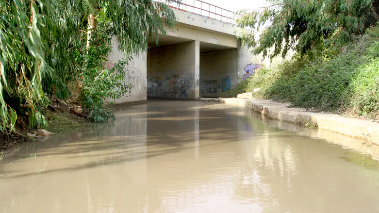 What is "morasha"? | Israel National News