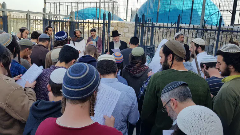 The unique light of Lag Ba'Omer | Israel National News