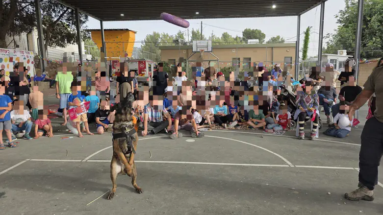 Israel Dog Unit honors fallen soldier at Gush Etzion exhibition ...