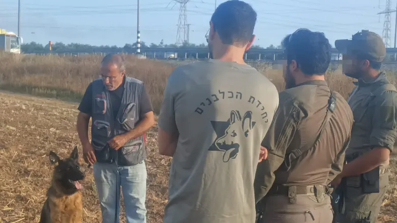 Israel Dog Unit launches life-saving tracking training course | Israel ...