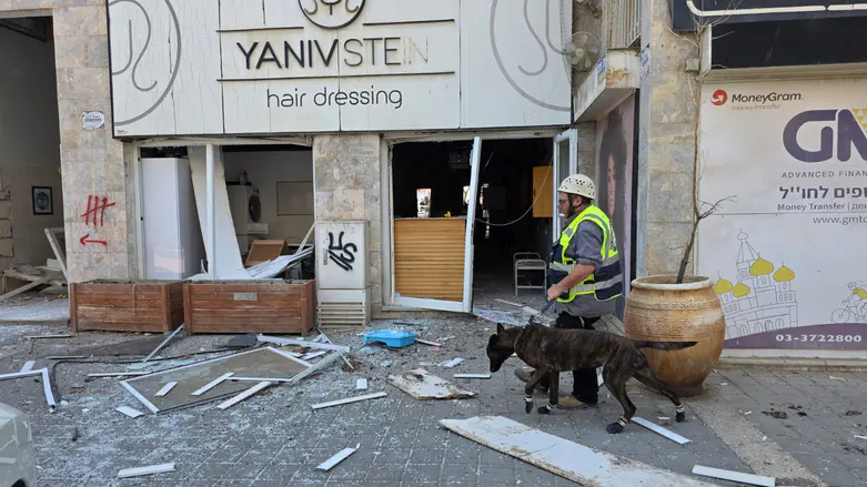 Israel Dog Unit joins search operations in Be'er Sheva | Israel ...