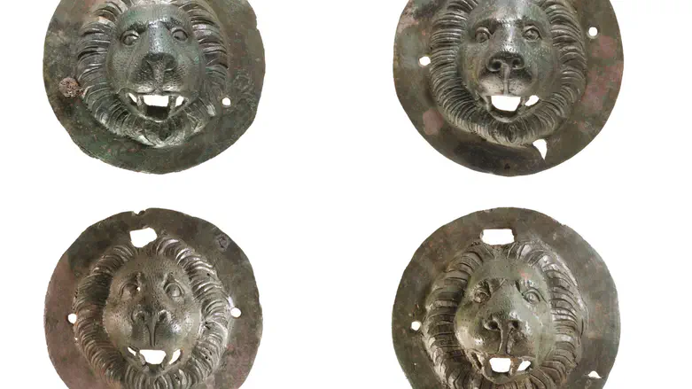 תגלית יוצאת דופן: מה עשו אריות במחלף איל? | ערוץ 7