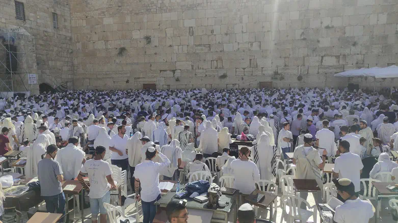 Hashem and I | Israel National News