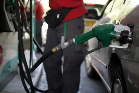 Can 95 Octane Falafel Oil Fuel Your Car? | Israel National News