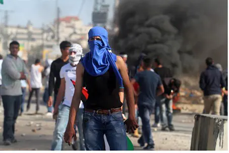 Palestinian Rock Thrower Shot by Security Forces | Israel National News