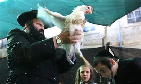 Videos Show Kaparot Ritual - From Chicken's POV | Israel National News