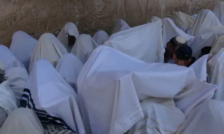 Chief Rabbi: Kohen Who Kills Terrorist Can Bless | Israel National News