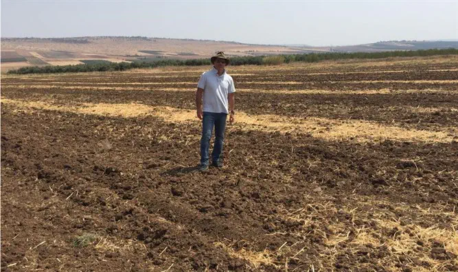 A unique spiritual investment with eternal blessings! | Israel National ...