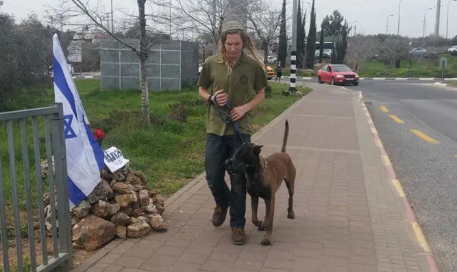 Israel Dog Unit dispatches dog patrols to Ariel Junction | Israel ...