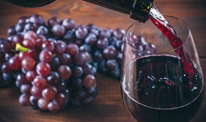 Hot 2019 Purim Trend: Being Healthy & Eco-Friendly | Israel National News