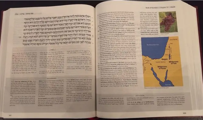 ArtScroll's dominance coming to an end? | Israel National News