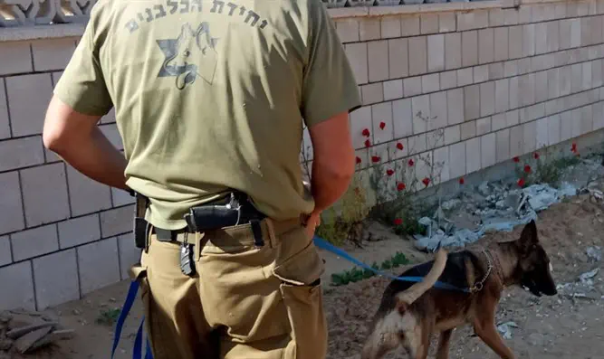 Israel Dog Unit continues missing person search despite coronavirus ...