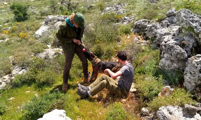 Israel Dog Unit sees missing persons increase during coronavirus crisis ...