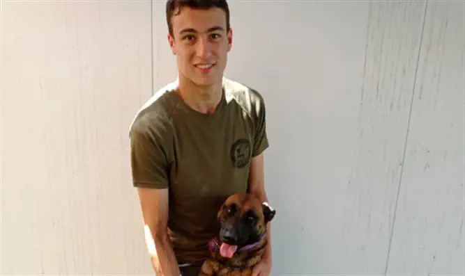 After beating coronavirus, US volunteer looks to join IDF | Israel ...