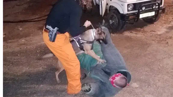 Israel Dog Unit beefs up security in Judea and Samaria | Israel ...