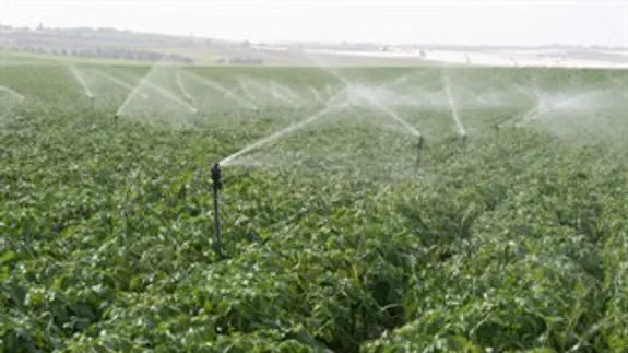 Behar (Israel): Chief Seattle and Schmita | Israel National News