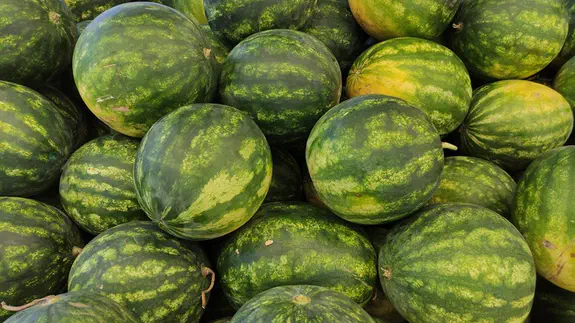 Watermelon smashing prop comic Gallagher dies at 76 | Israel National News