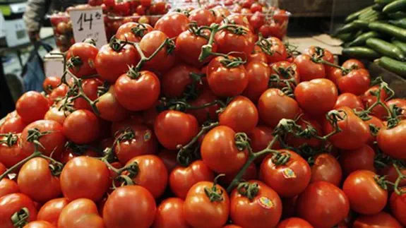Israeli researchers develop drought-resistant tomatoes | Israel ...