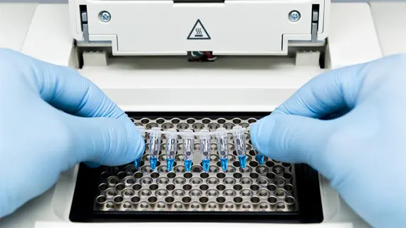 DNA from discarded gum leads to murder conviction 44 years later | Israel National News