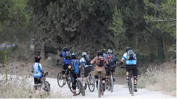 Video: Israeli Produces Cardboard Bicycle | Israel National News
