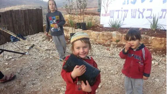 Esh Kodesh Vineyard Replanted After IDF Destroyed | Israel National News