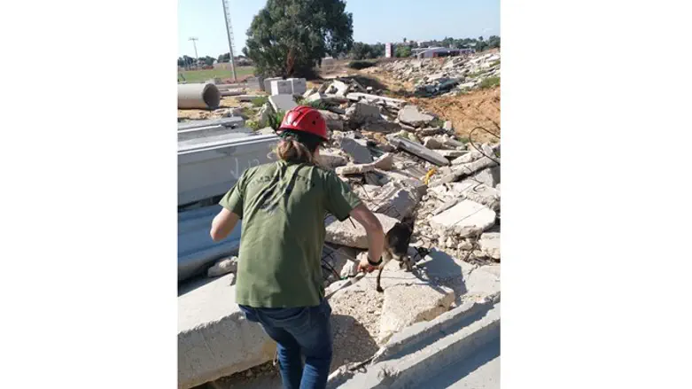 Israel Dog Unit prepares for the next disaster | Israel National News